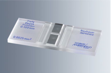 CAMARA NEUBAUER CON LINEA DOBLE, BRILLANTE Paul Marienfeld | Insulab